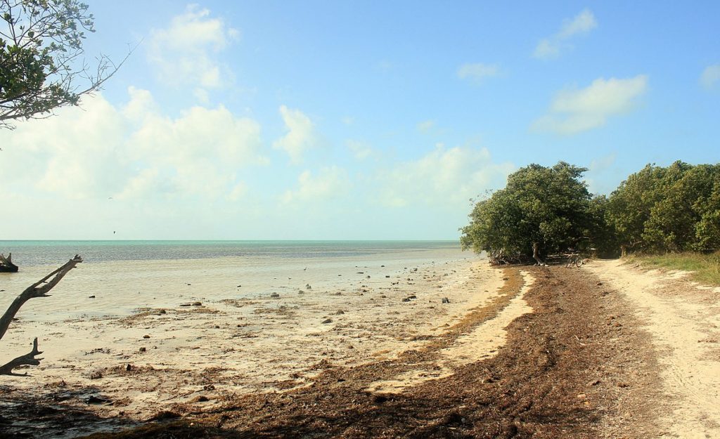 Long Key State Park, randonnée, pêche ou kayak sur une île de Floride