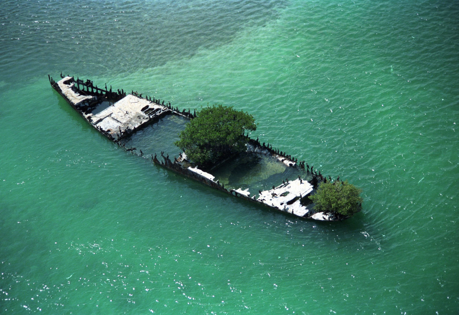 Musée pirates, les Keys, Floride - Shipwreck Museum|Musée pirates, les ...