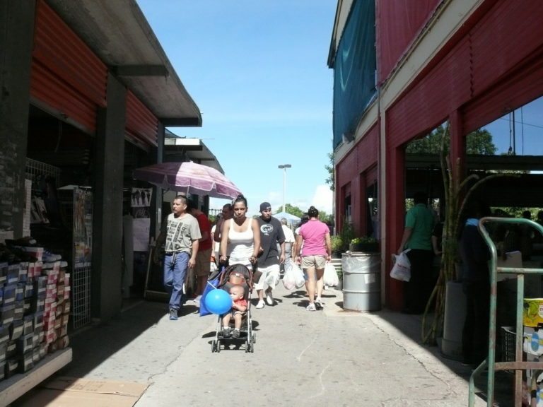 Redland's Farmers Market au sud de Miami - en images - Floride