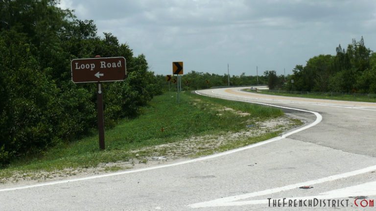La Loop Road, la route des Everglades pour une balade en voiture