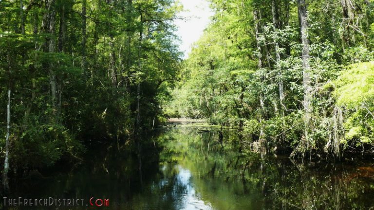 La Loop Road, la route des Everglades pour une balade en voiture