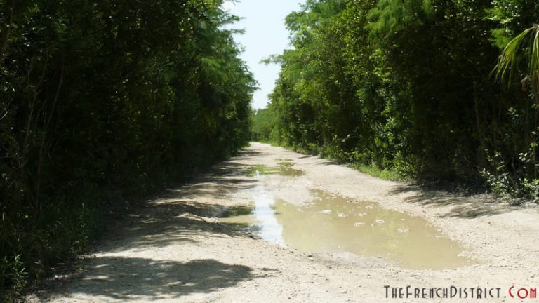 La Loop Road, la route des Everglades pour une balade en voiture
