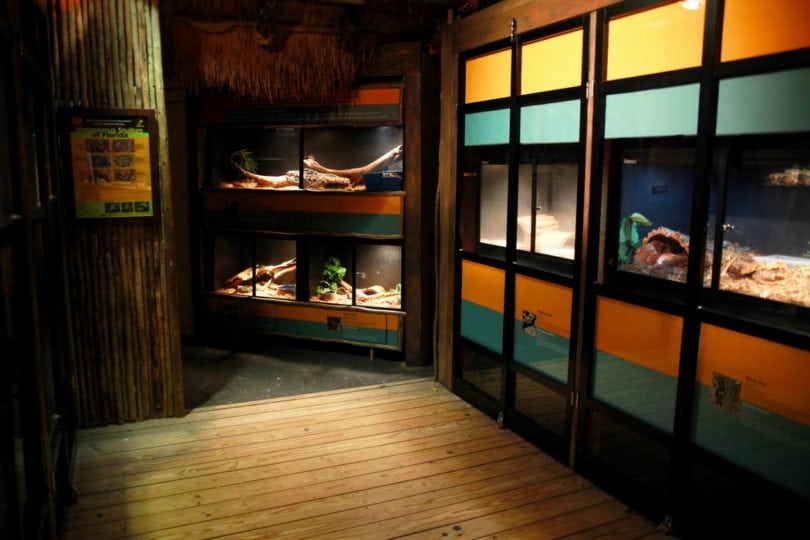 Miami Science Museum - Musée des Sciences de Miami - Coconut Grove