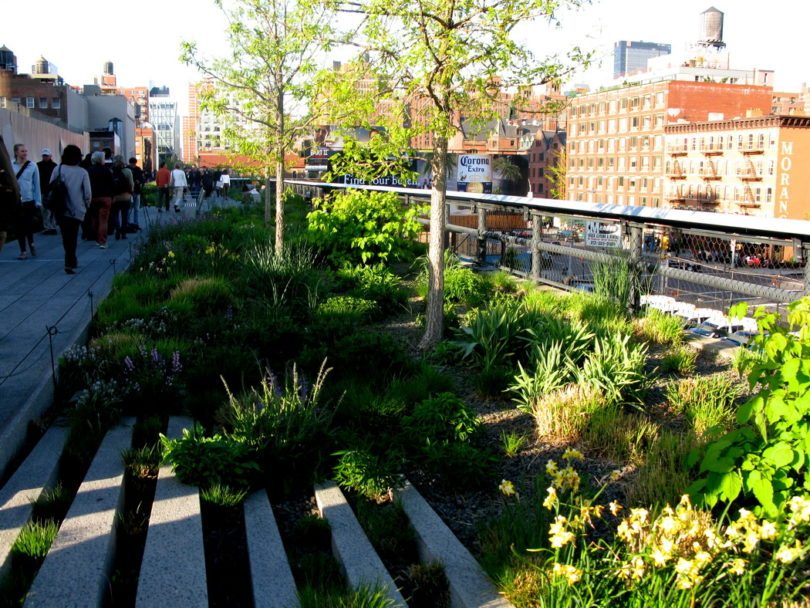 Balade sur la High Line, en images - New York